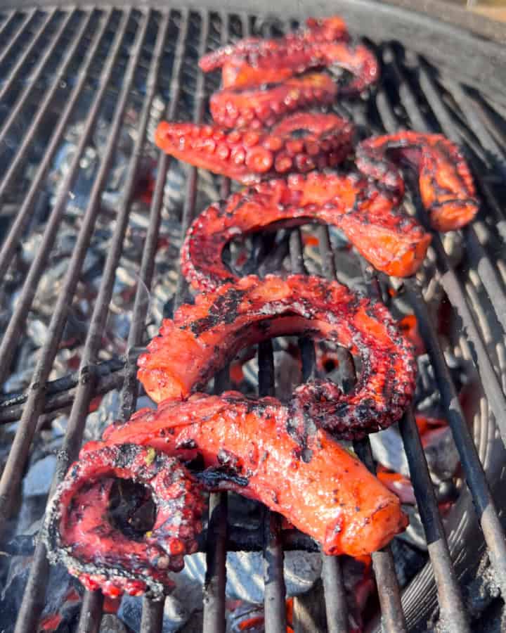 Sous-Vide Grilled Octopus - Zimmy's Nook
